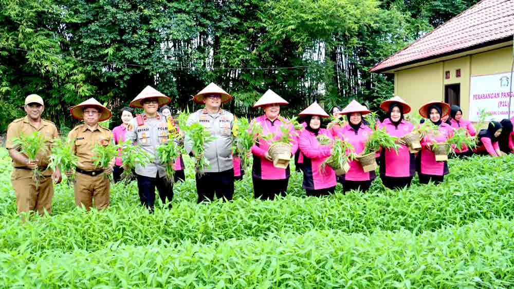 Launching P2L, Dukung Ketahanan Pangan, Manfaatkan Lahan Pekarangan ...