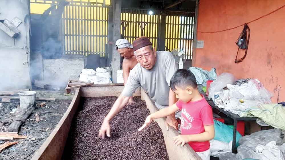 Gunakan Kayu Pelawan, Rasa dan Aroma Kopi Sesuai Selera Konsumen