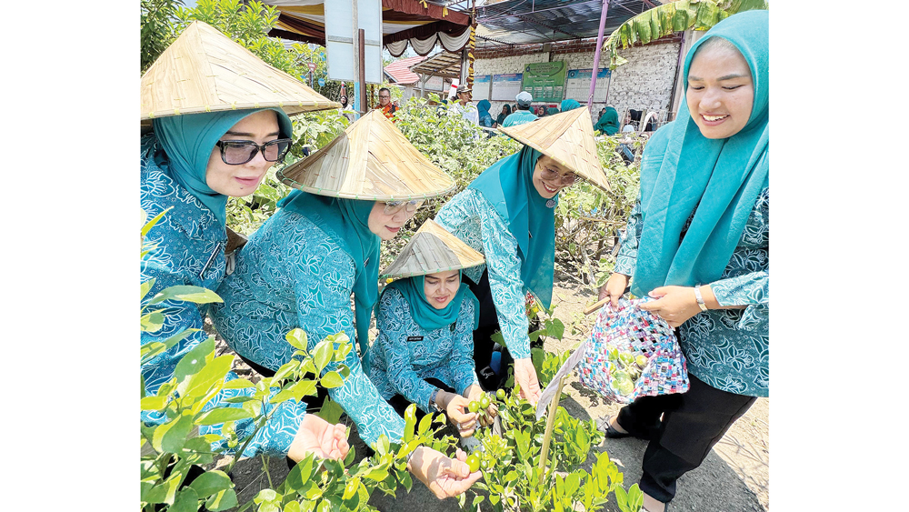 Jadikan Desa Bandar Aji Model Percontohan, Fokus Tanaman Jeruk Kunci ...